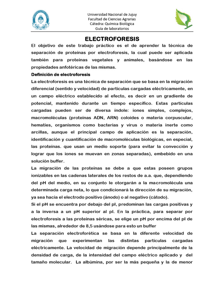 Lab 9 Electroforesis | PDF | Electroforesis | Proteínas