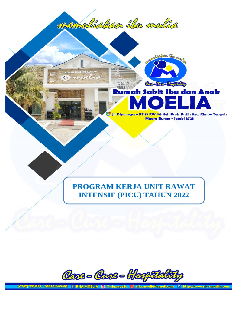 Program Kerja PICU NICU 2022 | PDF