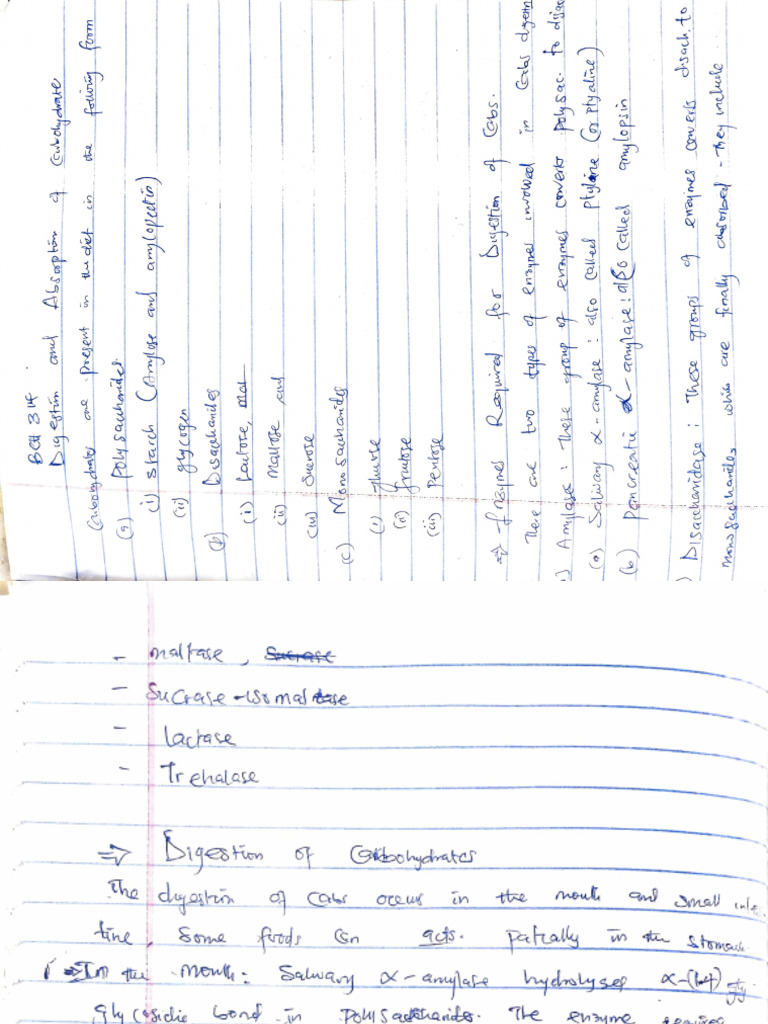 BCH 314 Efiong | PDF