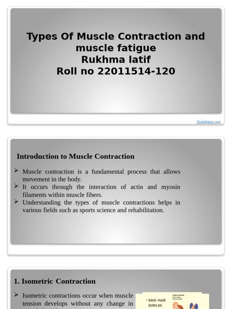 Types of Muscle Contraction and Muscle Fatigue (1) | PDF | Muscle ...