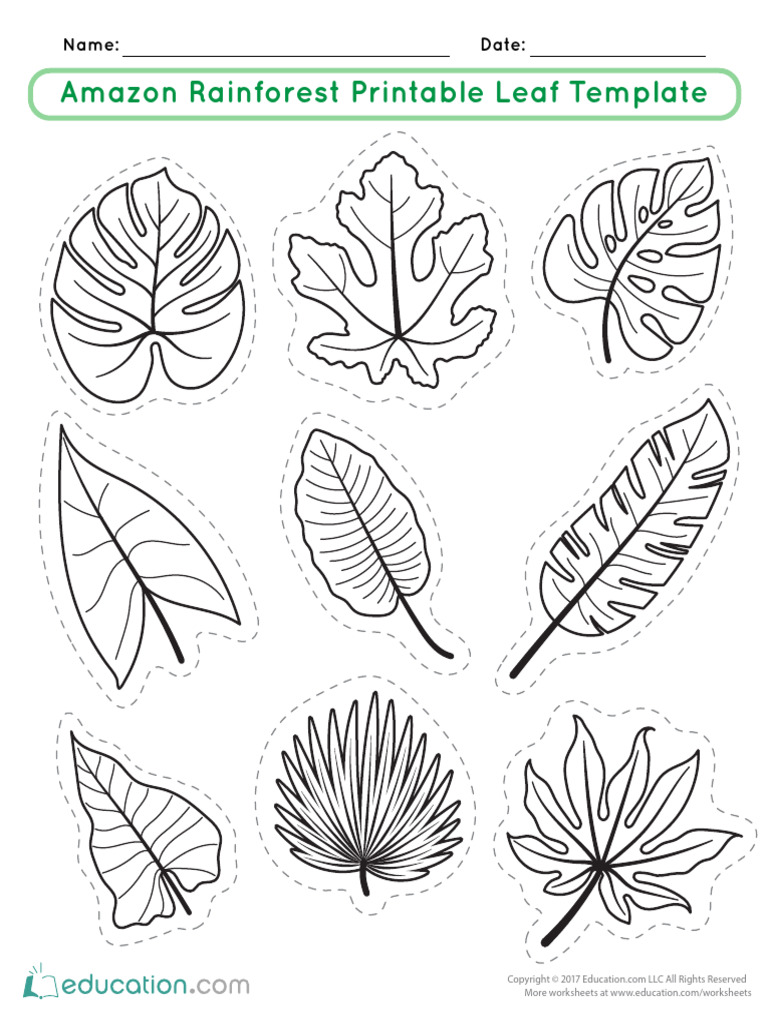 Amazon Rainforest Printable Leaf Template | PDF