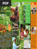 Awa Tribe of Brazil Primary Resource1 | PDF