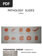 Cytologic Patterns - Eclinpath | PDF | Inflammation | Macrophage