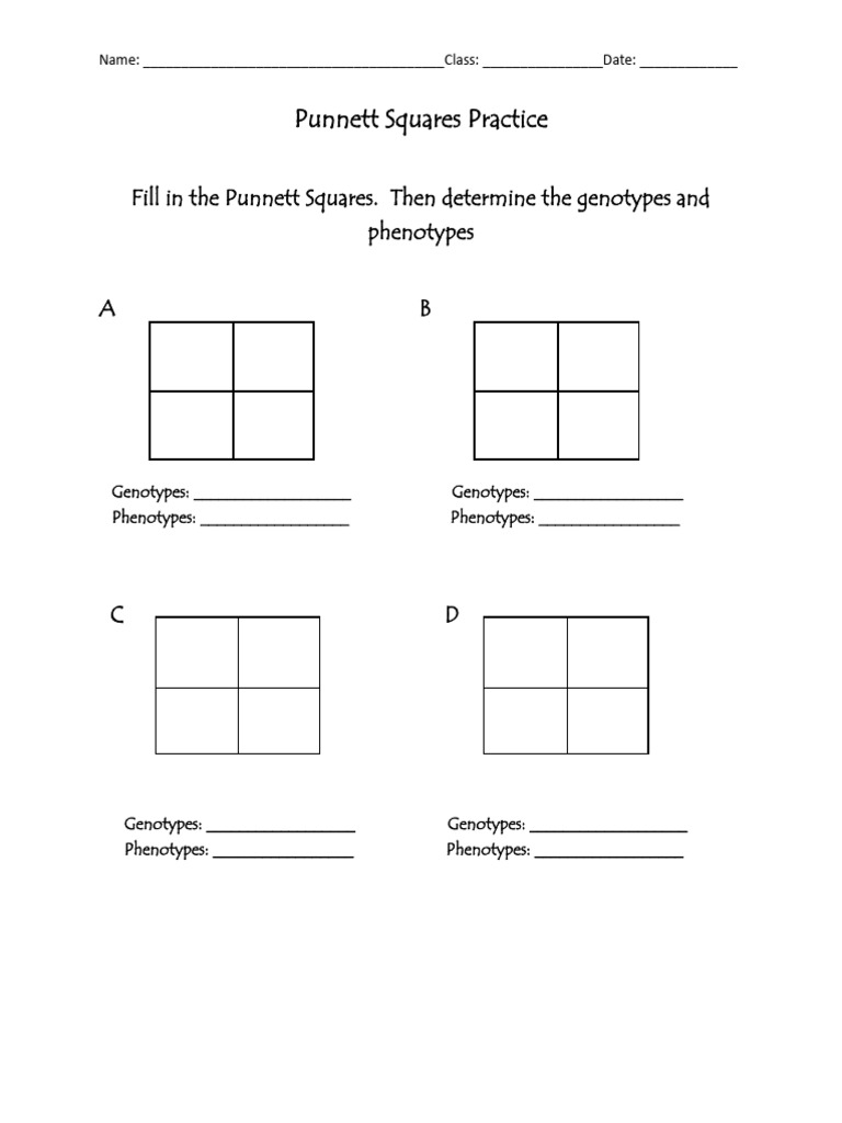 Punnett_Squares_Practice (1) | PDF