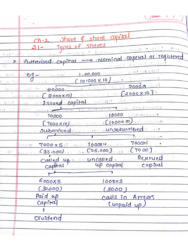 All Chapters Claw Handwritten Notes | PDF