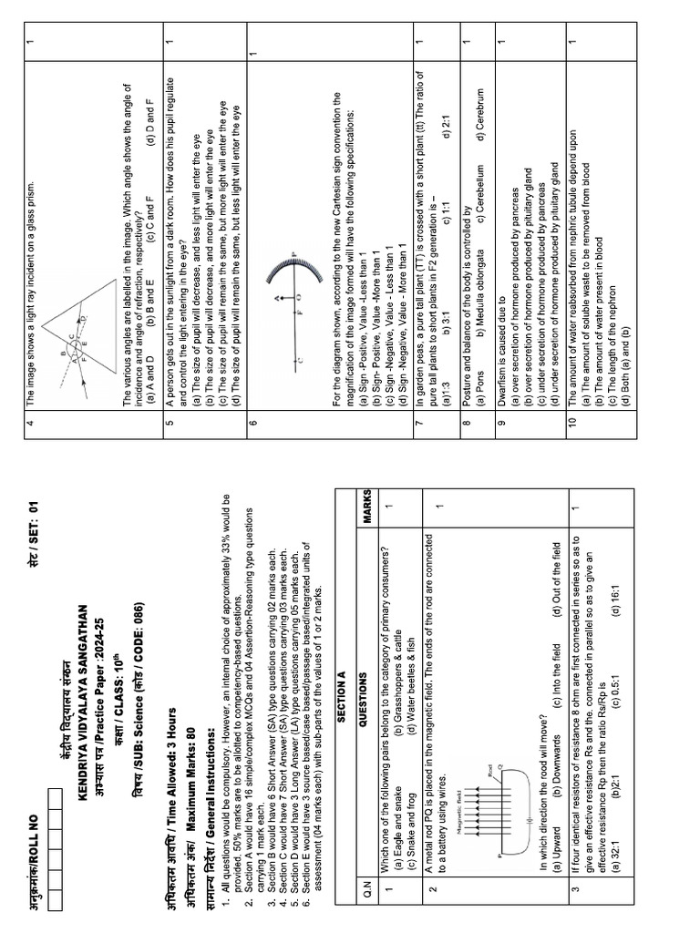 Print Kv-Class-10-Science-Practice-Question-Paper-2024-25 | PDF