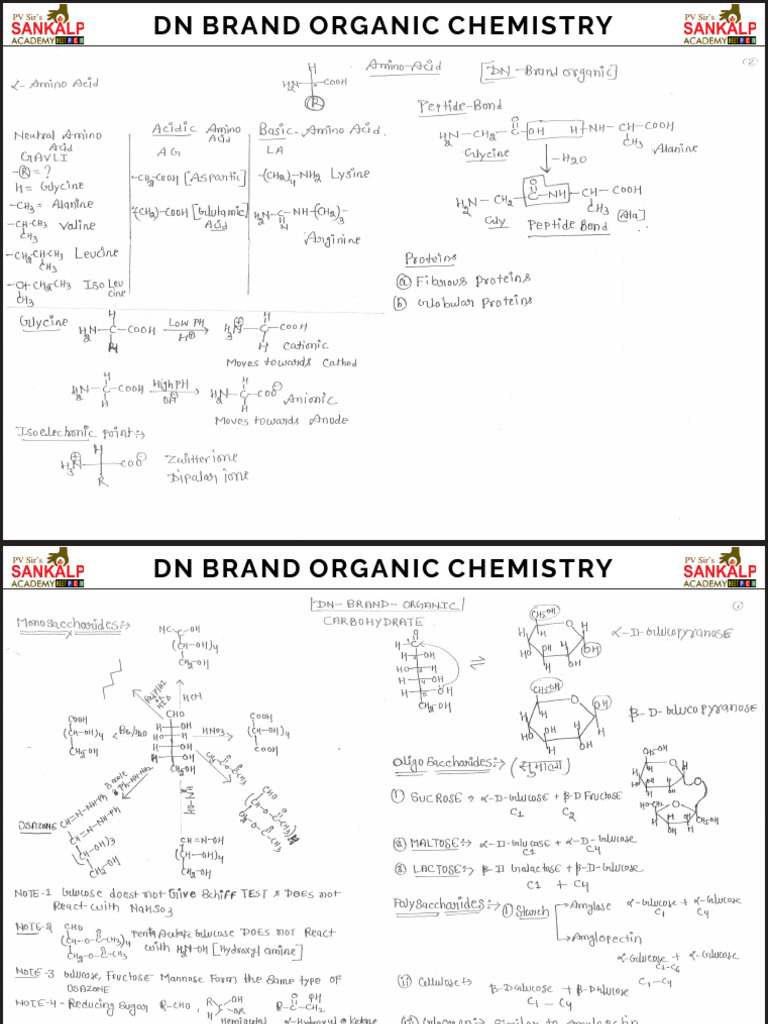 Amino Acid - Chart | PDF