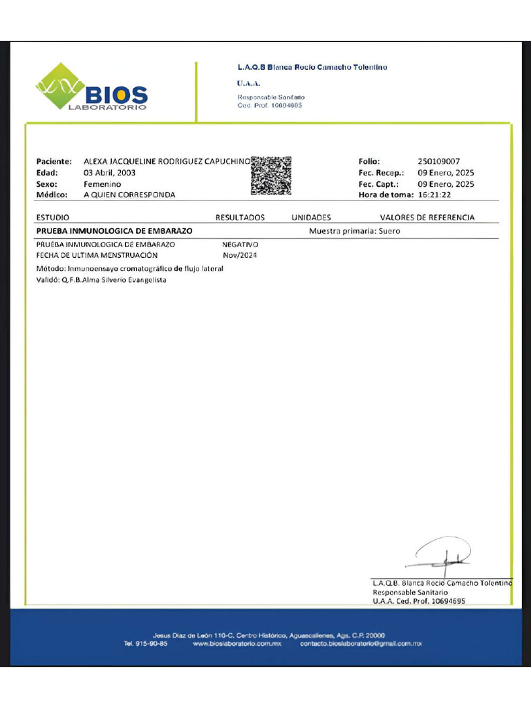 Pixelcut Export | PDF
