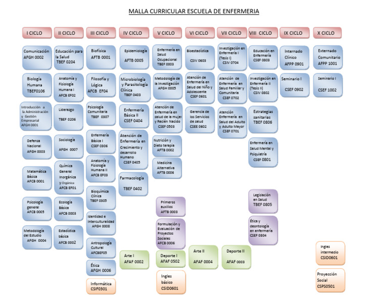 MALLA CURRICULAR (Escuela Enfermeria) 1 | PDF | Enfermería | Psicología clínica