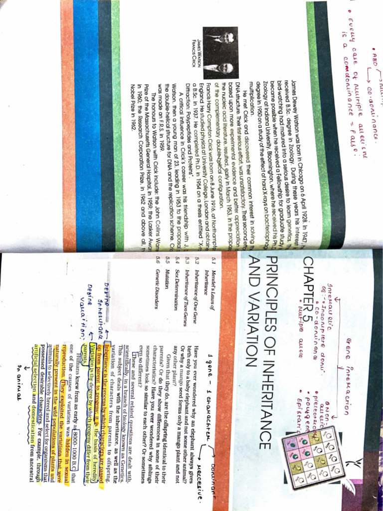 Principle of Inheritance NCERT PDF | PDF | Genotype | Dominance (Genetics)