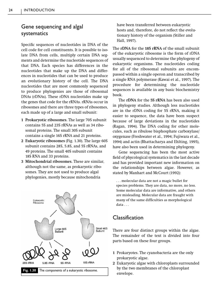 Classification of Algae by Lee | PDF | Ribosomal Rna | Ribosomal Dna