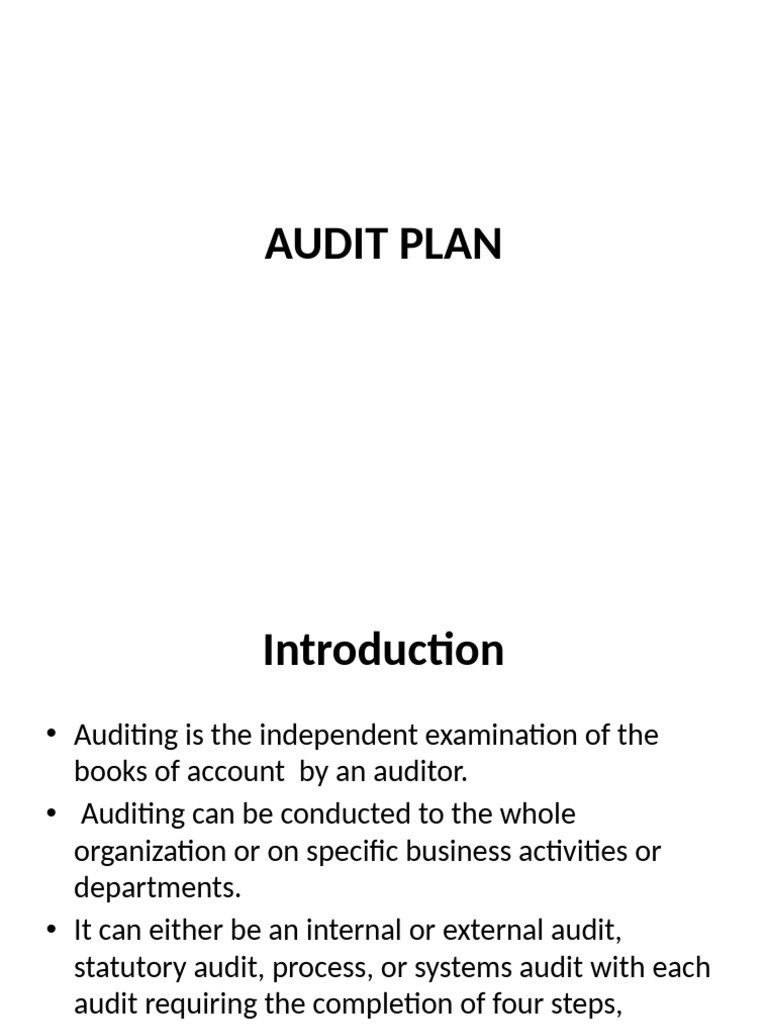 Audit Plan | PDF | Audit | Inventory