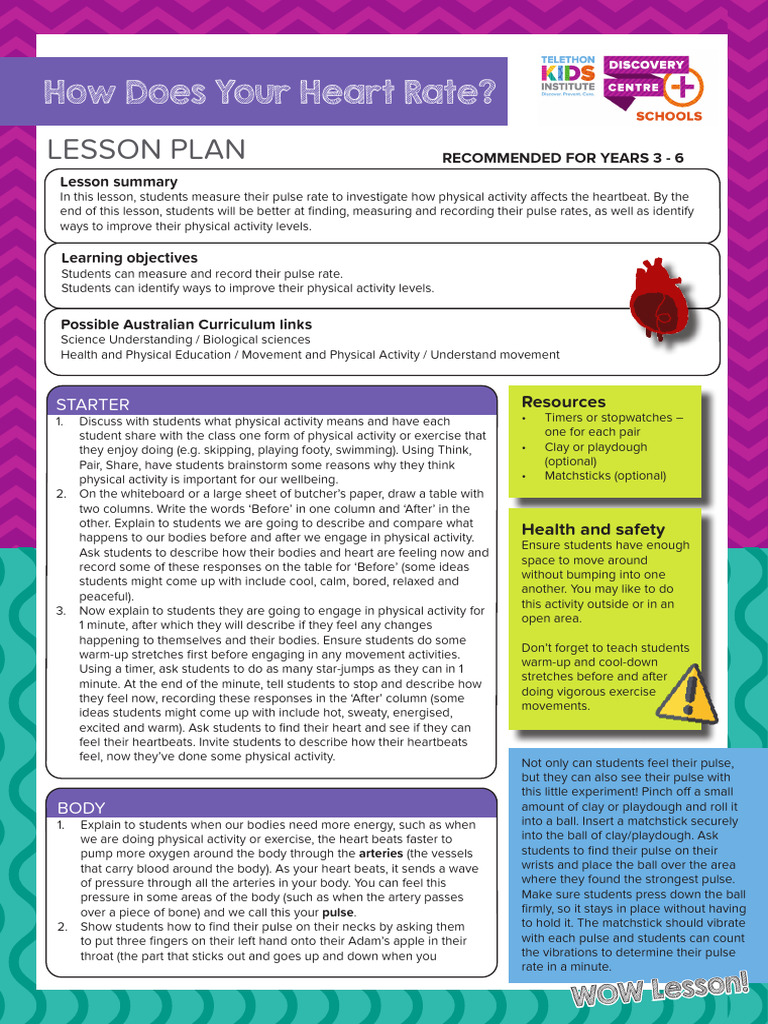 4---lesson-plan---how-does-your-heart-rate-final | PDF | Heart | Pulse