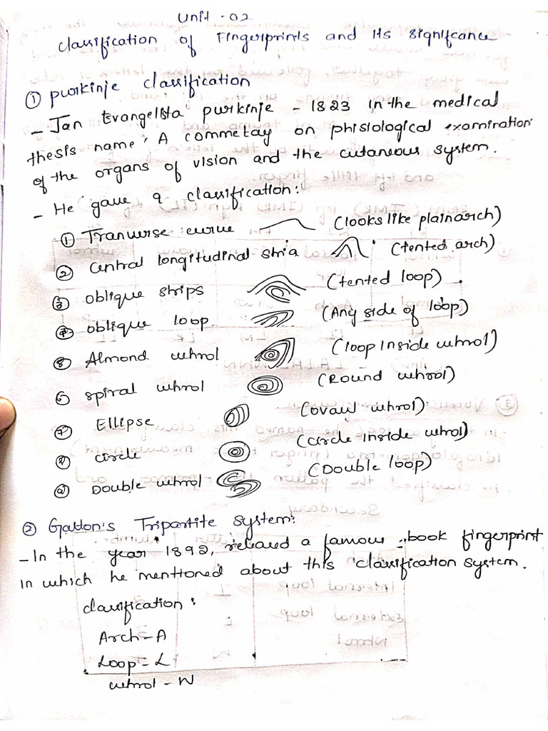 Unit 2 Dermatoglyphics | PDF