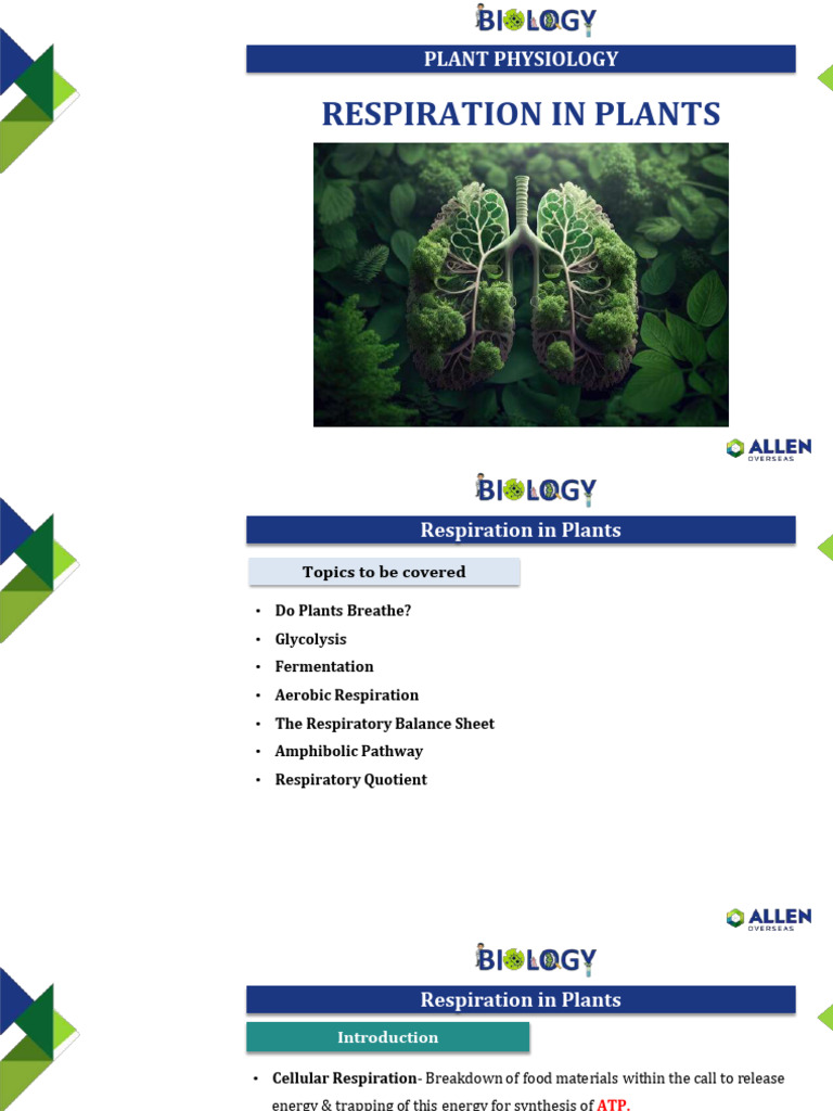 Respiration in Plants | PDF | Cellular Respiration | Glycolysis