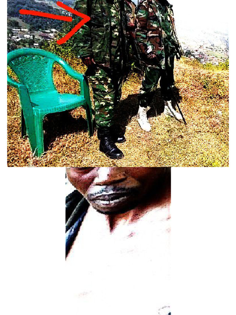 PDFReader_20250117_0807 | PDF