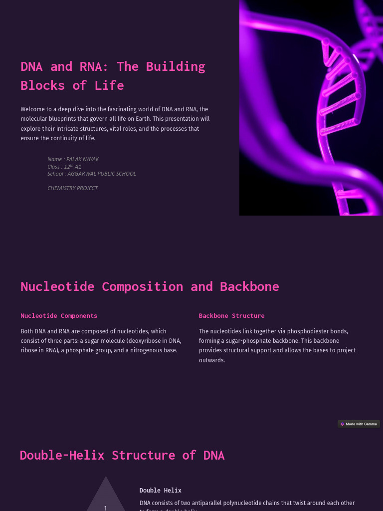 DNA and RNA The Building Blocks of Life | PDF | Dna | Rna