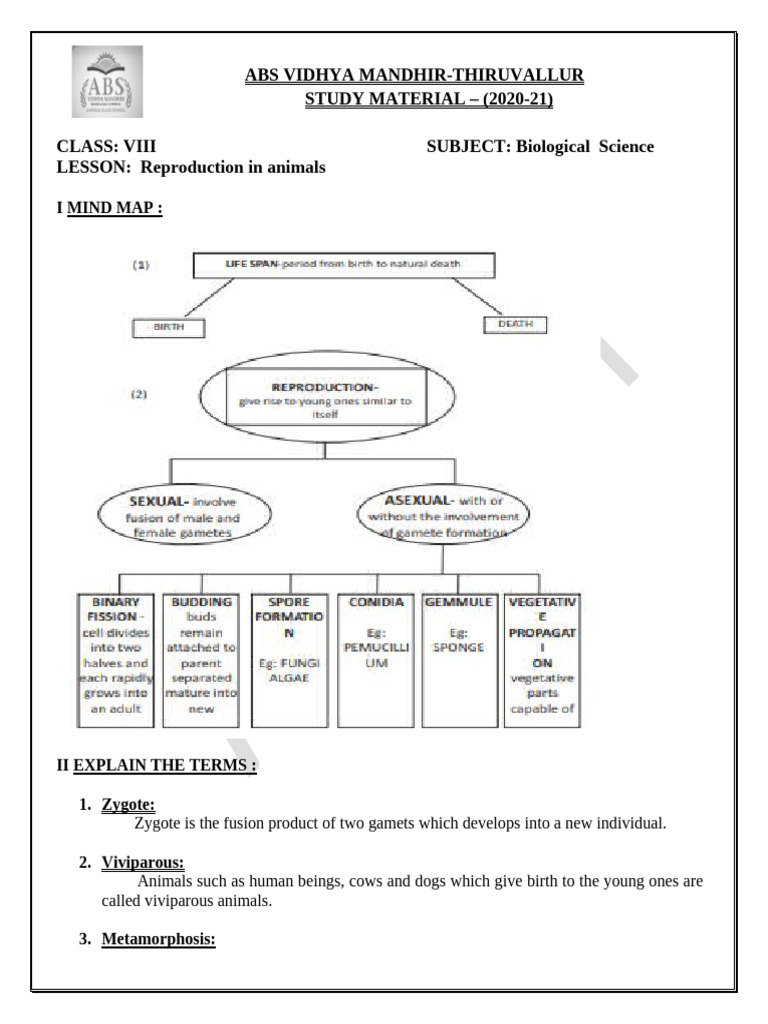Reproduction in Animals Study Guide | PDF | Fertilisation | Sexual ...