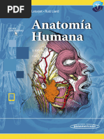 NBI Morton. Anatomía Macroscópica | PDF | Abdomen | Anatomía