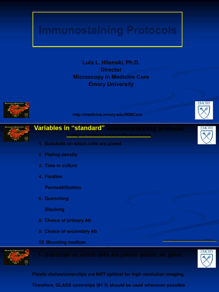 Immunostaining Protocols | PDF | Fixation (Histology) | Western Blot