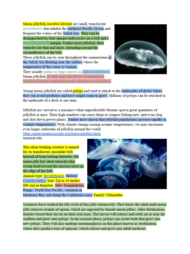 Jellyfish (acting class) | PDF | Predation | Oceanography