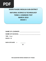 Grade 4 NSTECH Term 1 2019 | PDF | Plants | Seed