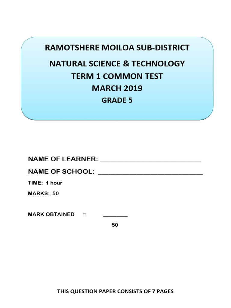 NSTECH Grade 5 Term 1 2019 | PDF | Foods | Skeleton