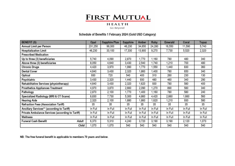 Schedule of Benefits Gold USD Category As at 1 February 2024 | PDF ...