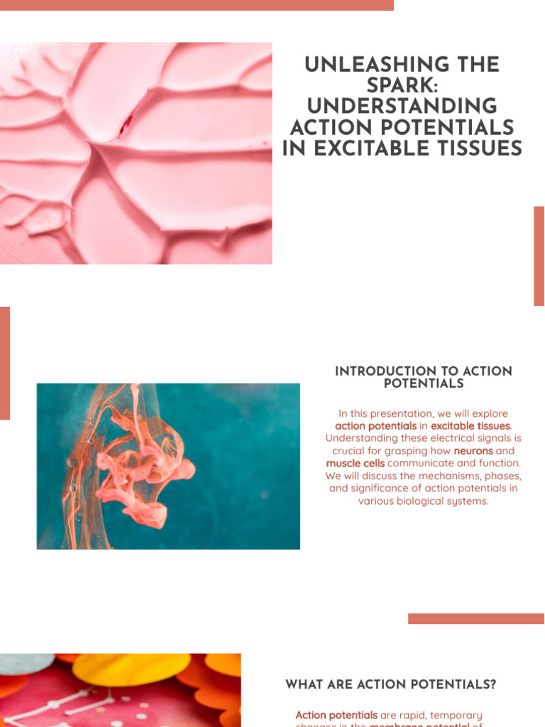 Slidesgo Unleashing The Spark Understanding Action Potentials in ...