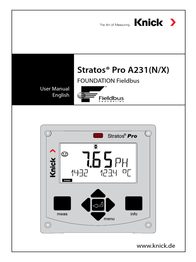 Manual Stratos Pro A231 N X Foundation Fieldbus en Knick | PDF | Sensor | Calibration