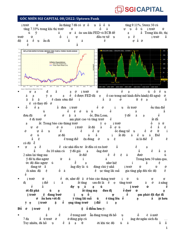 Góc Nhìn SGI | PDF