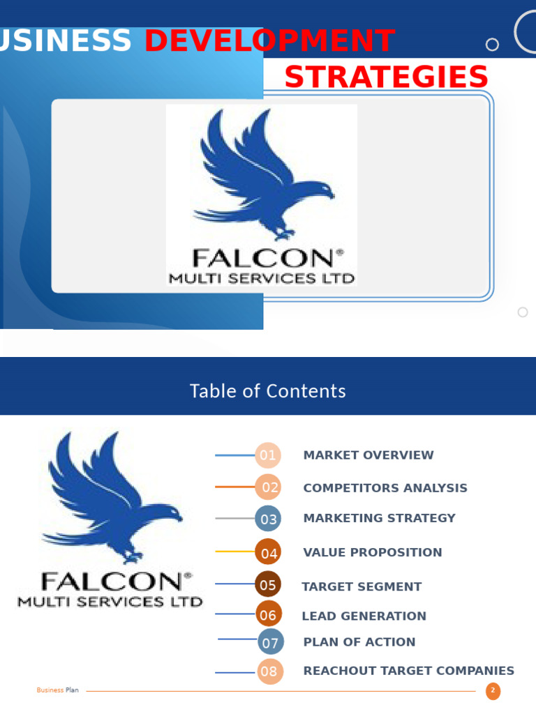Falcon marketing strategies | PDF | Marketing Strategy | Marketing