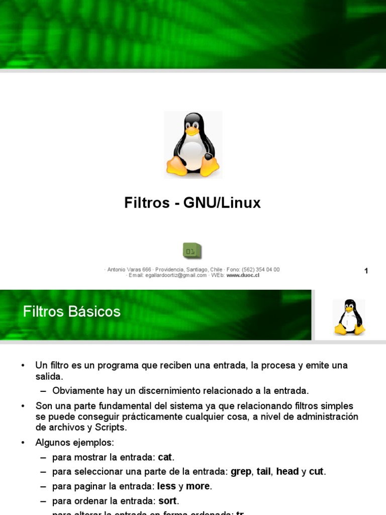 Filtros Básicos y Avanzados en GNU/Linux | PDF | Expresión regular ...