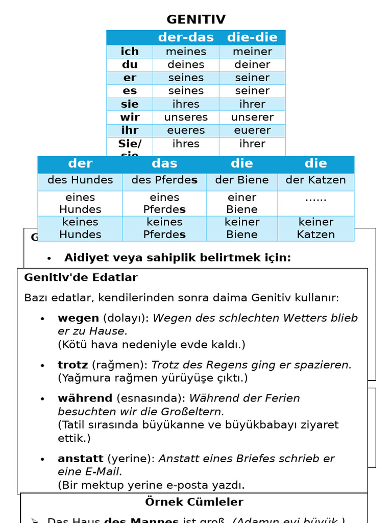 GENITIV | PDF