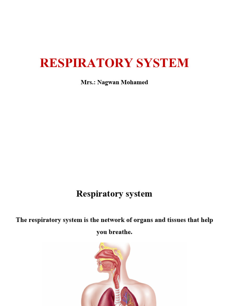 respiratory system 1 | PDF