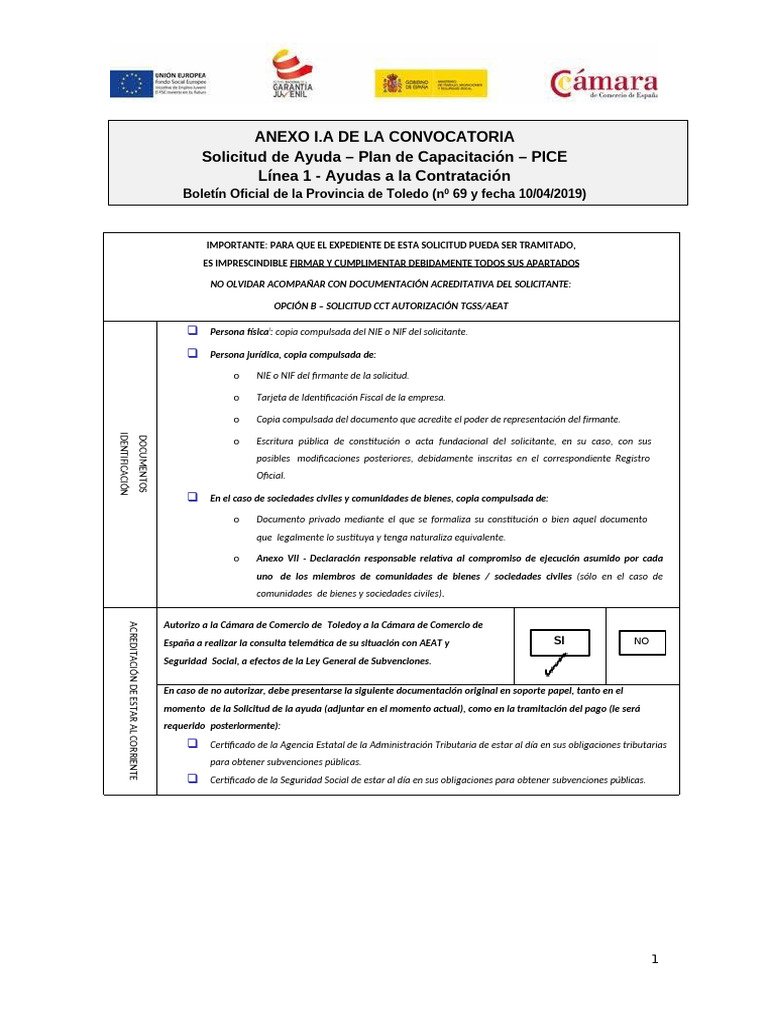 2019 Anexo IA Solicitud Ayuda Empresas Ayuda Empresas | PDF
