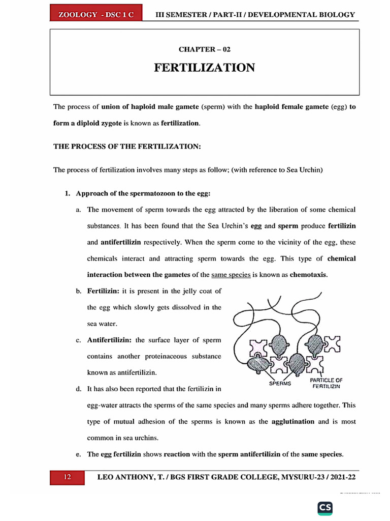 Fertilization - Developmental Biology | PDF