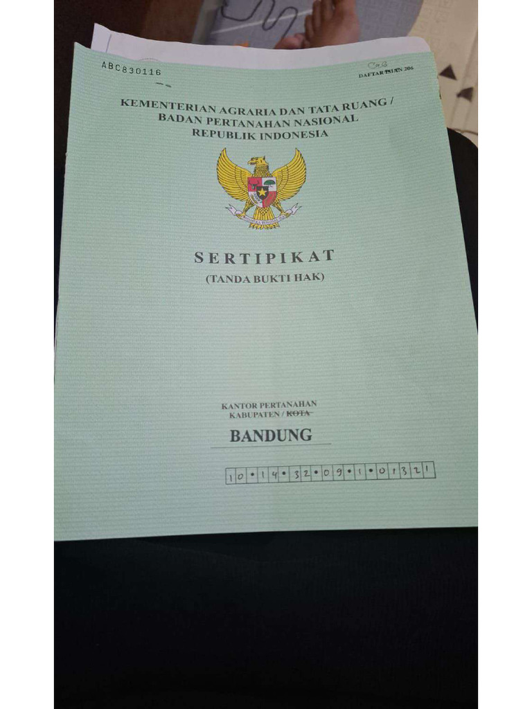 PDF Yuli Olive | PDF