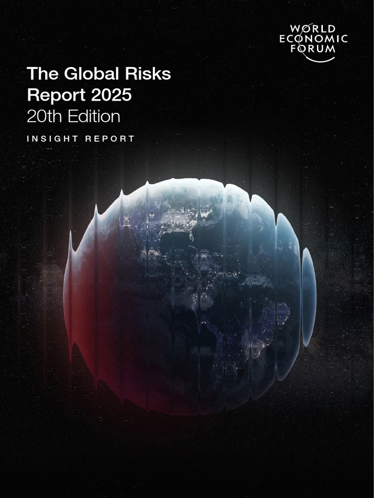 Risk Report by World Economic Forum | PDF | Risk | Biodiversity
