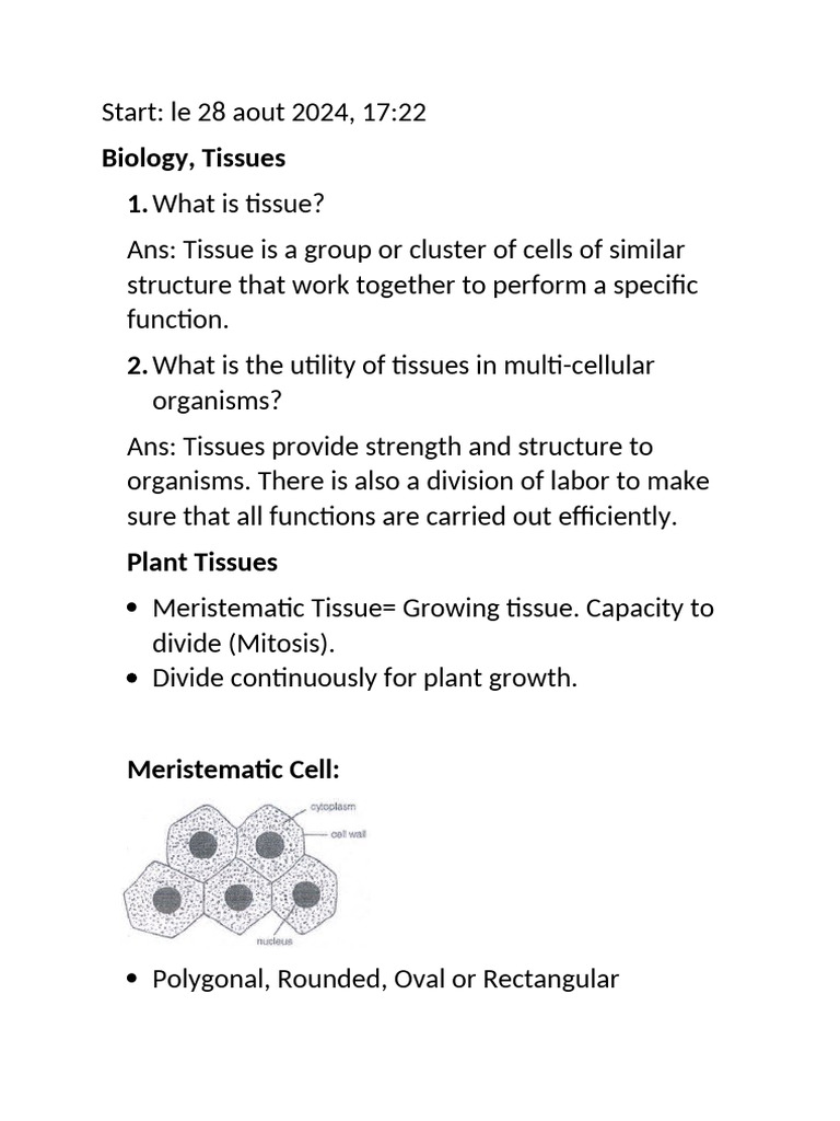 bio tissues | PDF | Tissue (Biology) | Plant Stem