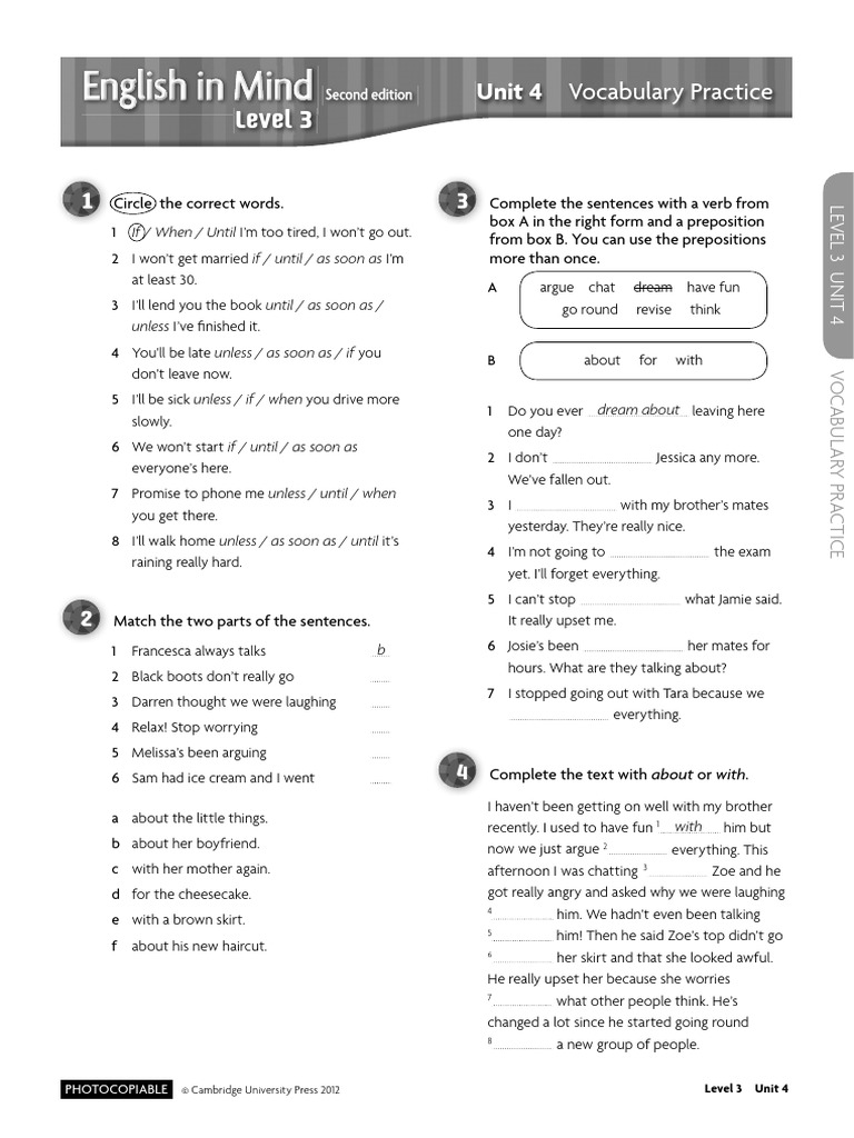 Level3 Unit4 Vocabulary Practice Worksheet | PDF