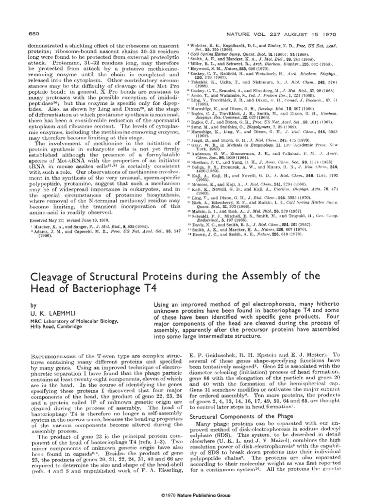 Laemmli 1970 Method Overview | PDF | Wellness