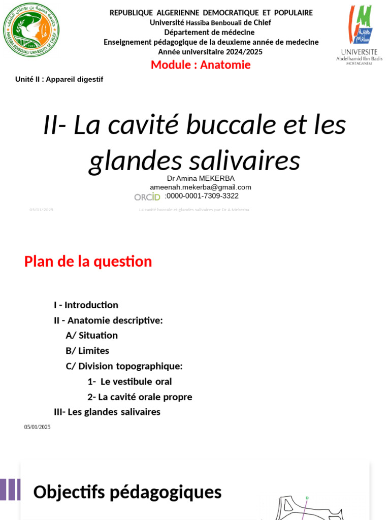 Anatomie de la cavité buccale | PDF | Langue | Dent humaine