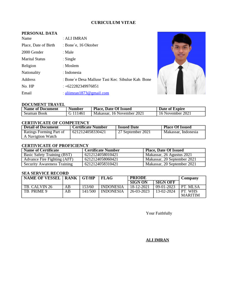 CURICULUM VITAE iMRAN | PDF