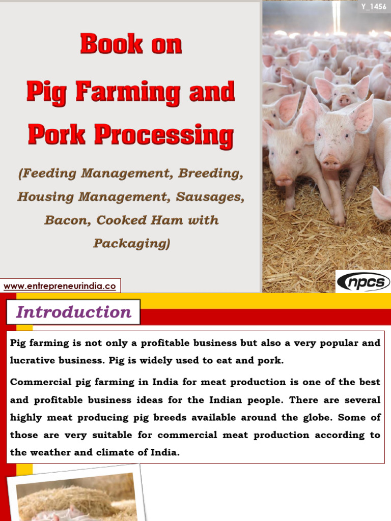 Pig Farming And Pork Pdf Sausage Pig