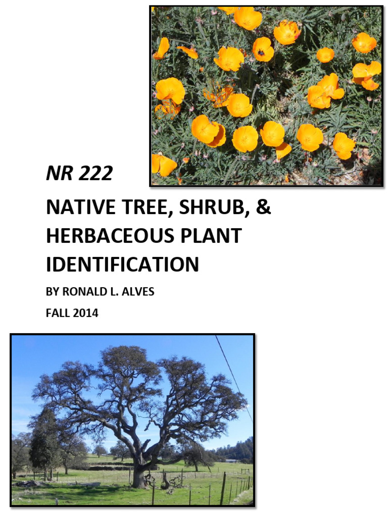 Native Tree and Shub Id 2nd Edit | PDF | Fir | Trees