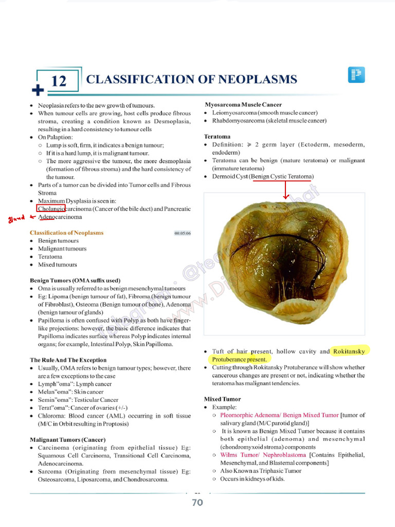 Neoplasm | PDF