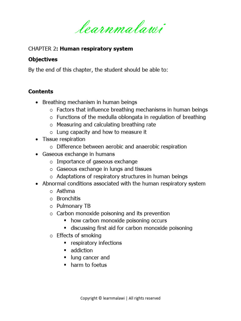 2 Human Respiratory System | PDF | Respiratory Tract | Lung