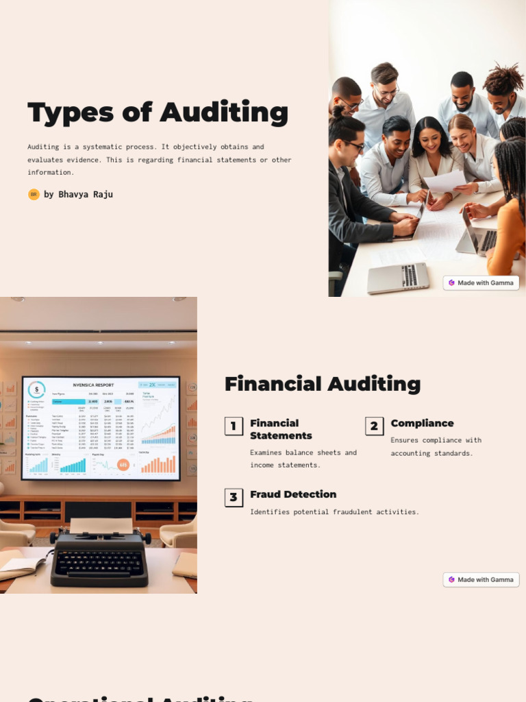 Types of Auditing | PDF
