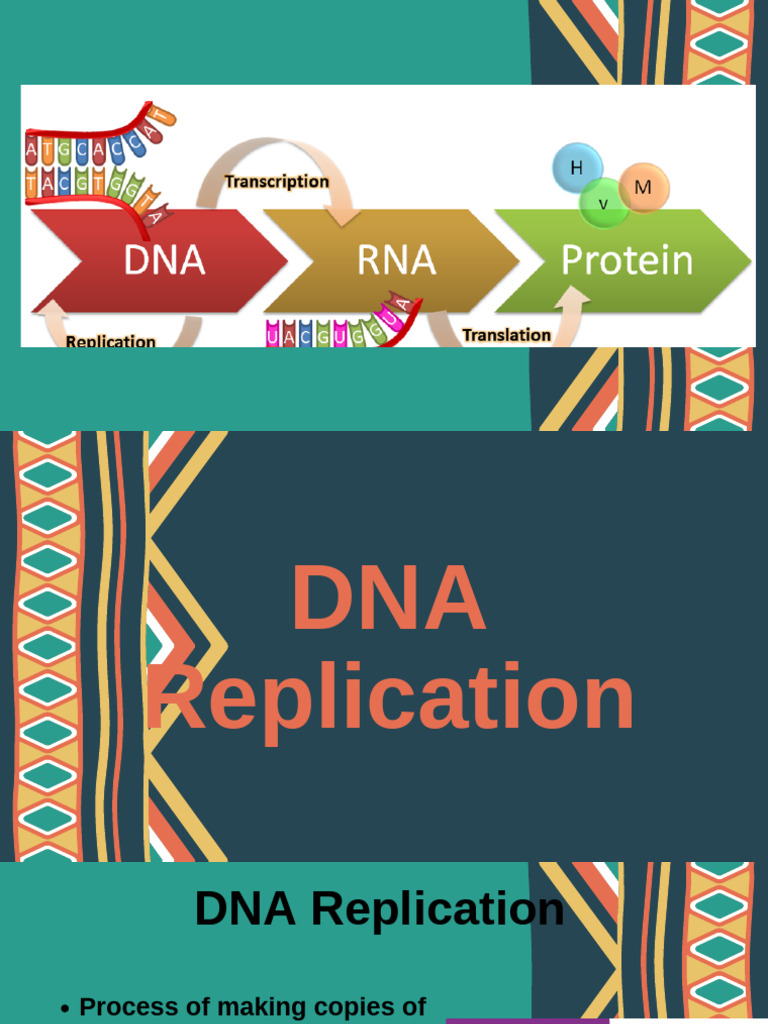 Dna Replication Transcirption Translation 1.Pptx 20250114 122122 0000 ...